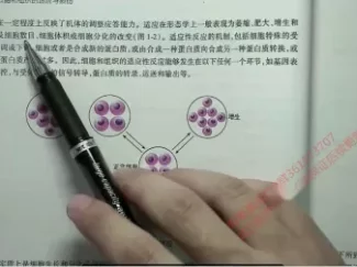 病理学第01章细胞和组织的适应与损伤1(6.24上午)