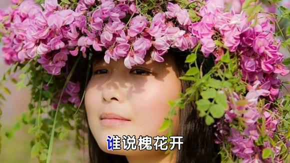 一首优美动听的《槐花为谁开》!