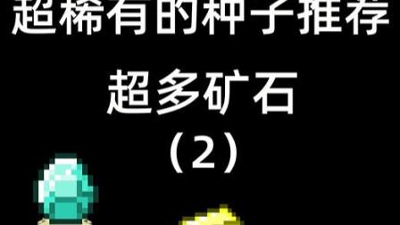 我的世界:超稀有的传送门村庄种子