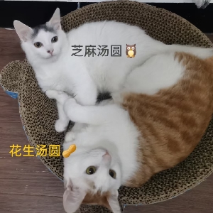 世界美好与你我做起 