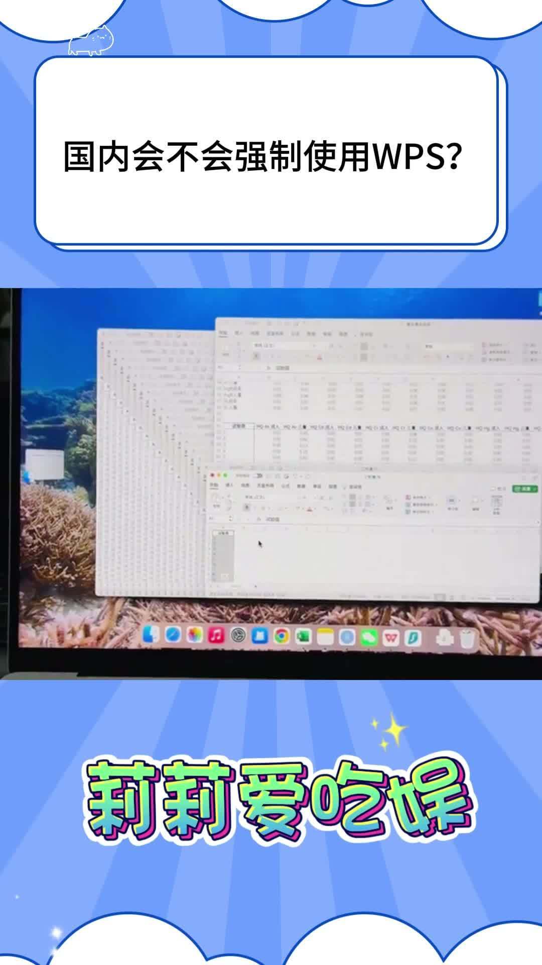 国内会不会强制使用WPS?