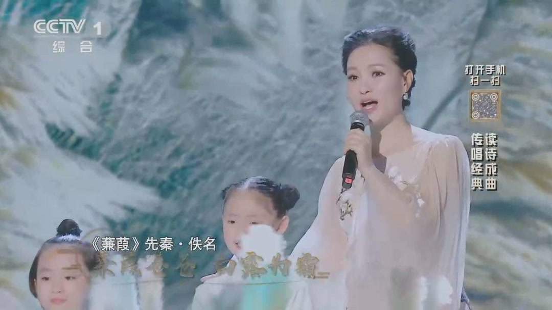 经典咏流传:雷佳演绎经典诗词《蒹葭》,小朋友唱的也太好了
