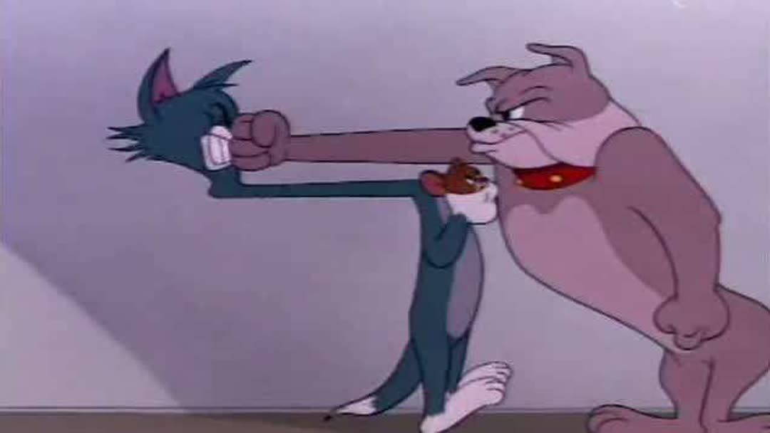 猫和老鼠动画片之宠物之争