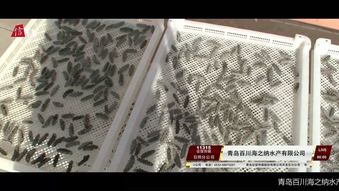 海之纳海参信用