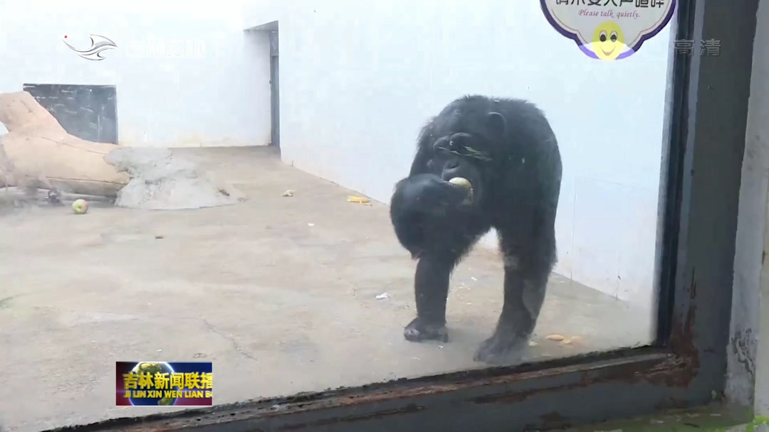 长春动植物园:爱心守护让动物温暖过冬