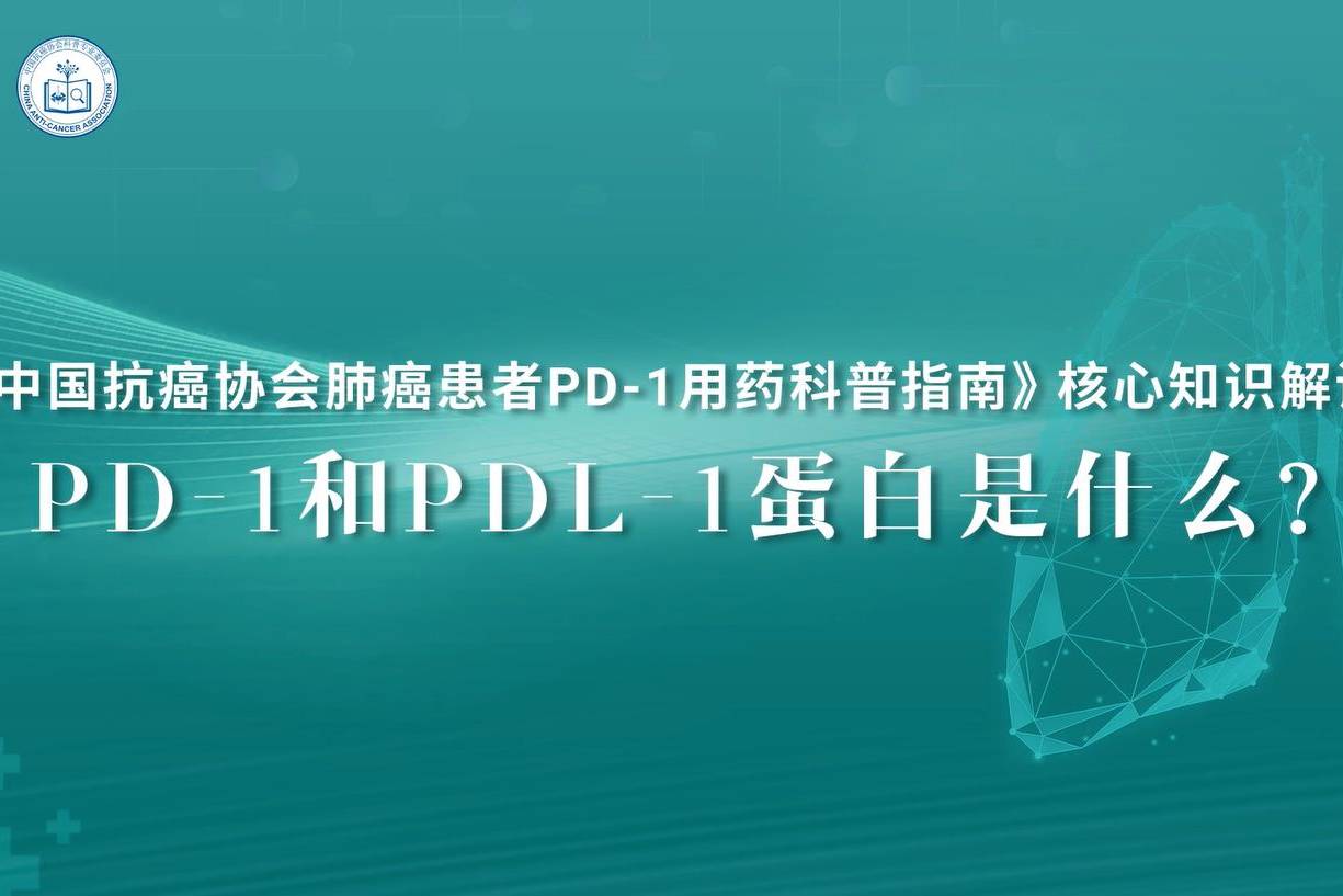PD-1用药科普指南核心知识解读支修益教授:PD-1和PD-L1蛋白是什么