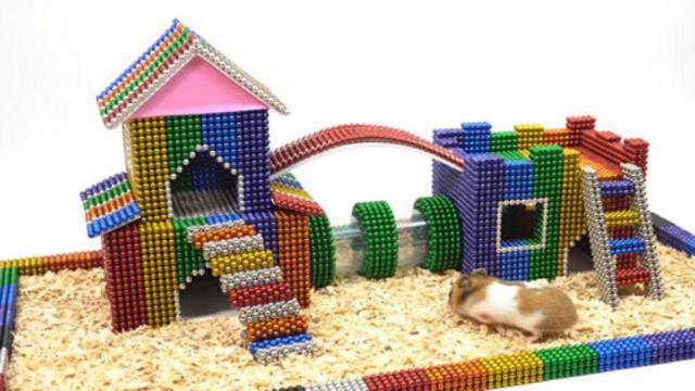 牛人用四万颗巴克球给仓鼠建造豪华别墅,真是有钱又闲得很