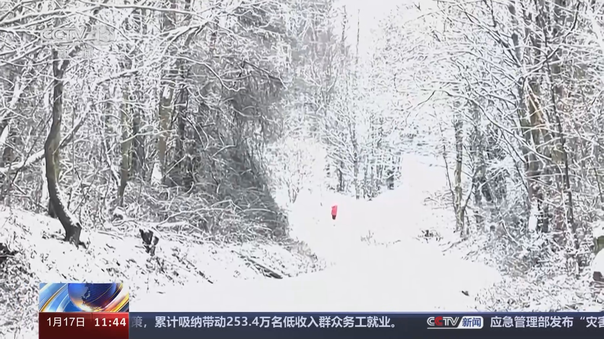 [新闻直播间]英国气温降至零下 比往年同期低5℃