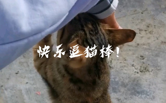 文管人的快乐公费旅游