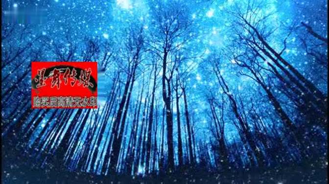 唯美梦幻星空蓝色树木森林led背景动态视频素材