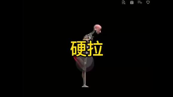 三大王牌动作之一,硬拉的动画教学#健身#健美 #硬拉 #健身教学