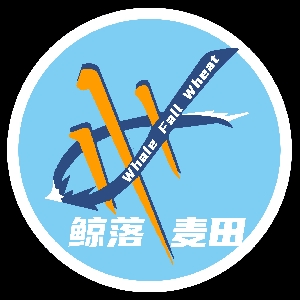 鲸落麦田 