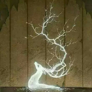 竹筱_wt 