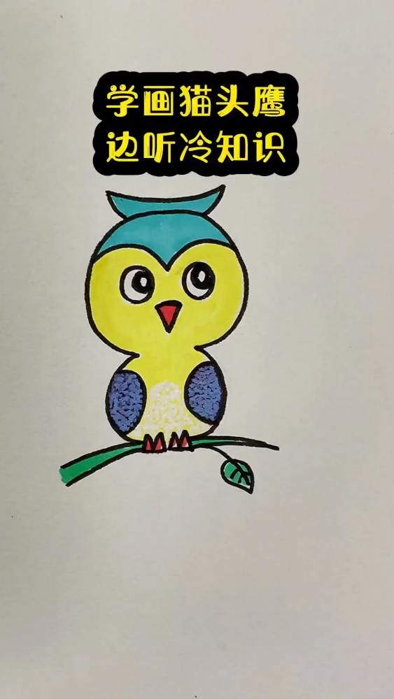 学画猫头鹰边听冷知识 零基础学画画 简笔画 动物简笔画