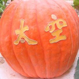 来自星星的小飞侠 