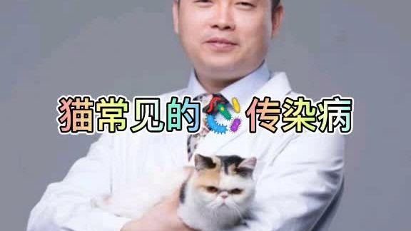 接下来几期跟大家介绍猫病毒性传染病