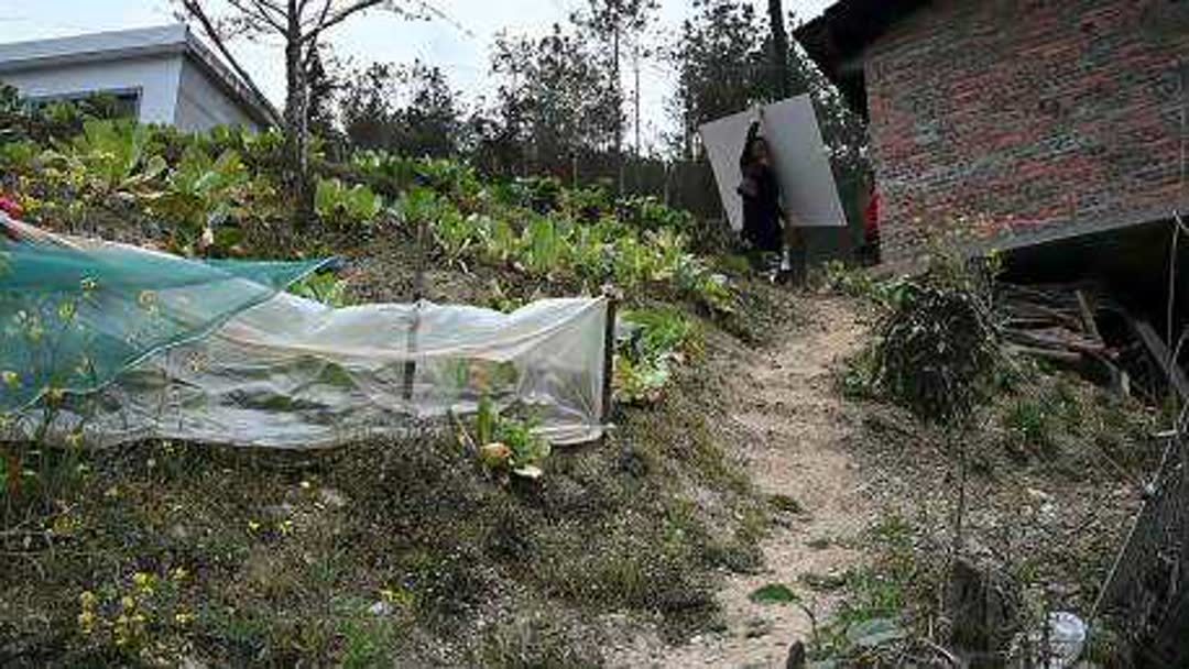 隐居山林,寒雅小居。喝着富硒茶,吃着土腊肉。岁月静好