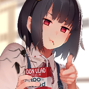 次元宅の小情殇 