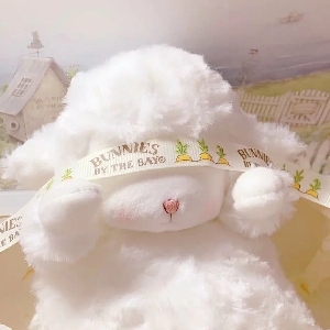 AAA卡车司机爱学习 