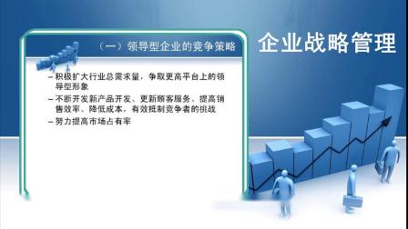 第19讲__企业战略管理(19)