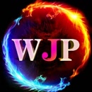 稳健刺激型老王1 