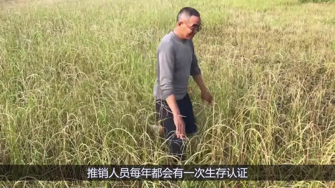 养老金12月末没到账!可能是这3种原因,看看钱来了没?