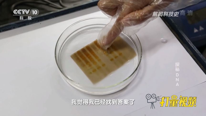 DNA指纹图谱技术可以分辨双胞胎吗?|解码科技史