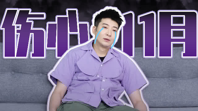 看着双十一的账单,我已经想象不出11月还怎么对我好一点!