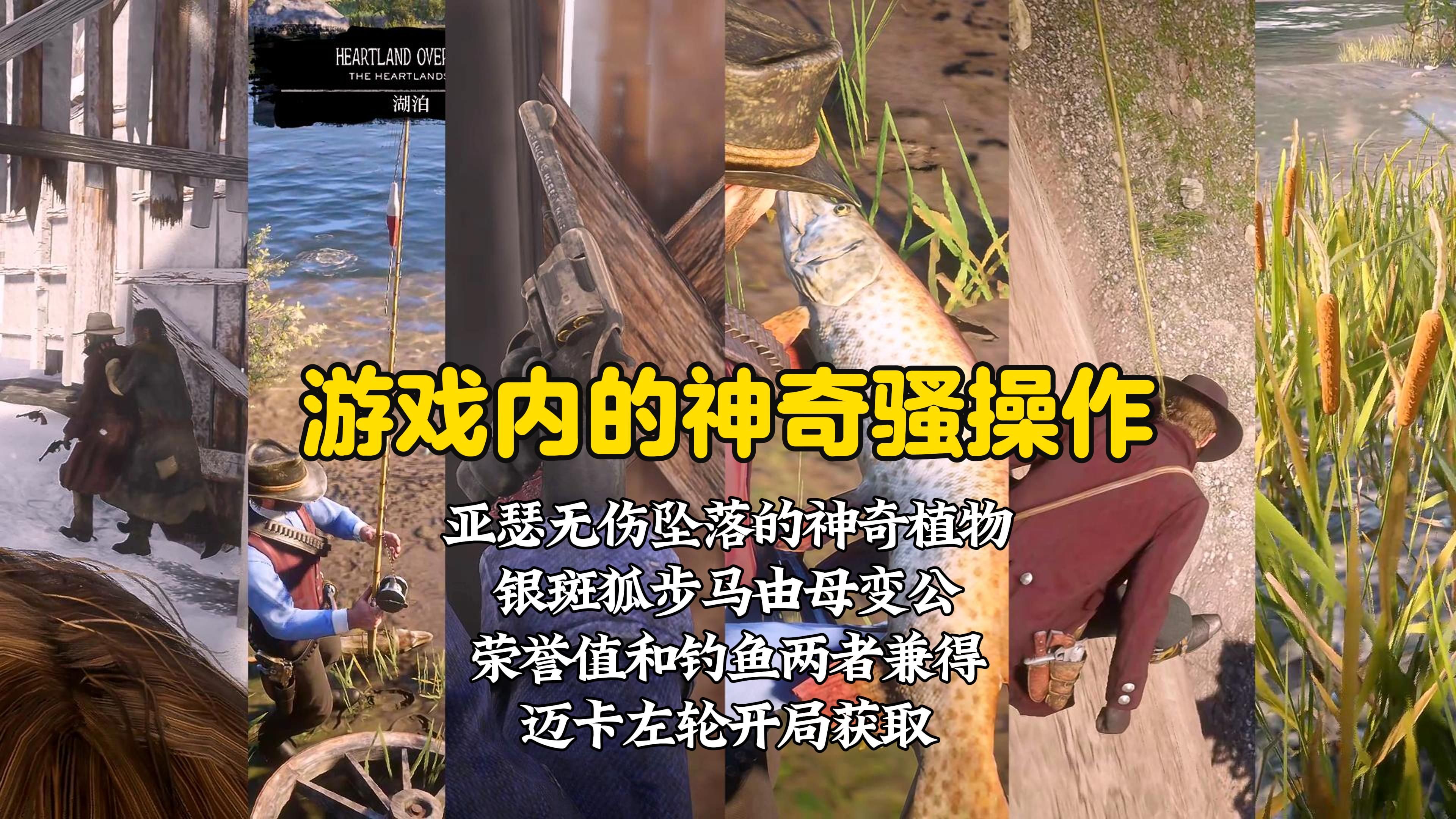 ...左轮如何开局就拿到手?银斑狐步马如何改变性别?【荒野大镖客2】