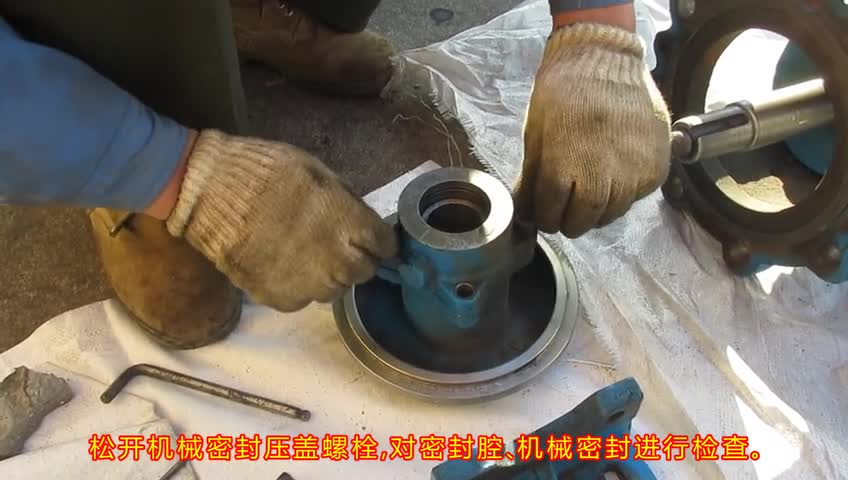 【视频】手把手教你检修离心泵!