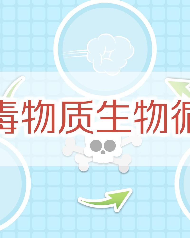 有毒物质生态系统:毒物质在生态系统中的循环