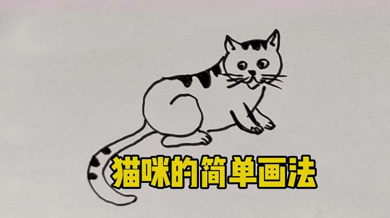 小猫咪的简单画法