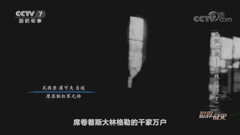 [世界战史]斯大林格勒战役象征着纳粹德国的失败