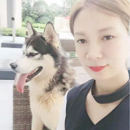 康大傻，沙雕动画 