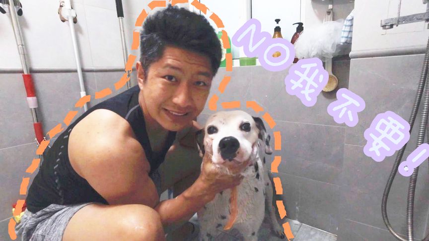 主人给宠物洗澡,狗狗反应超搞笑,表示:能不能就不洗了啊