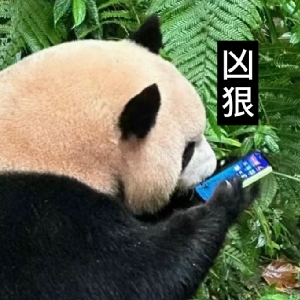 少女王铁柱h 