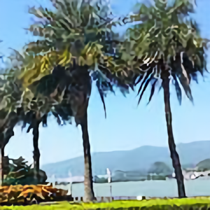 天涯海角看世界 