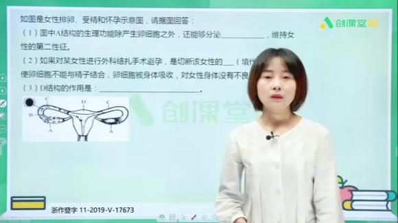 【初中生物】人体的生殖系统