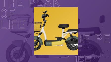 两轮电动车行业新风向:爱玛开启“国潮年”!