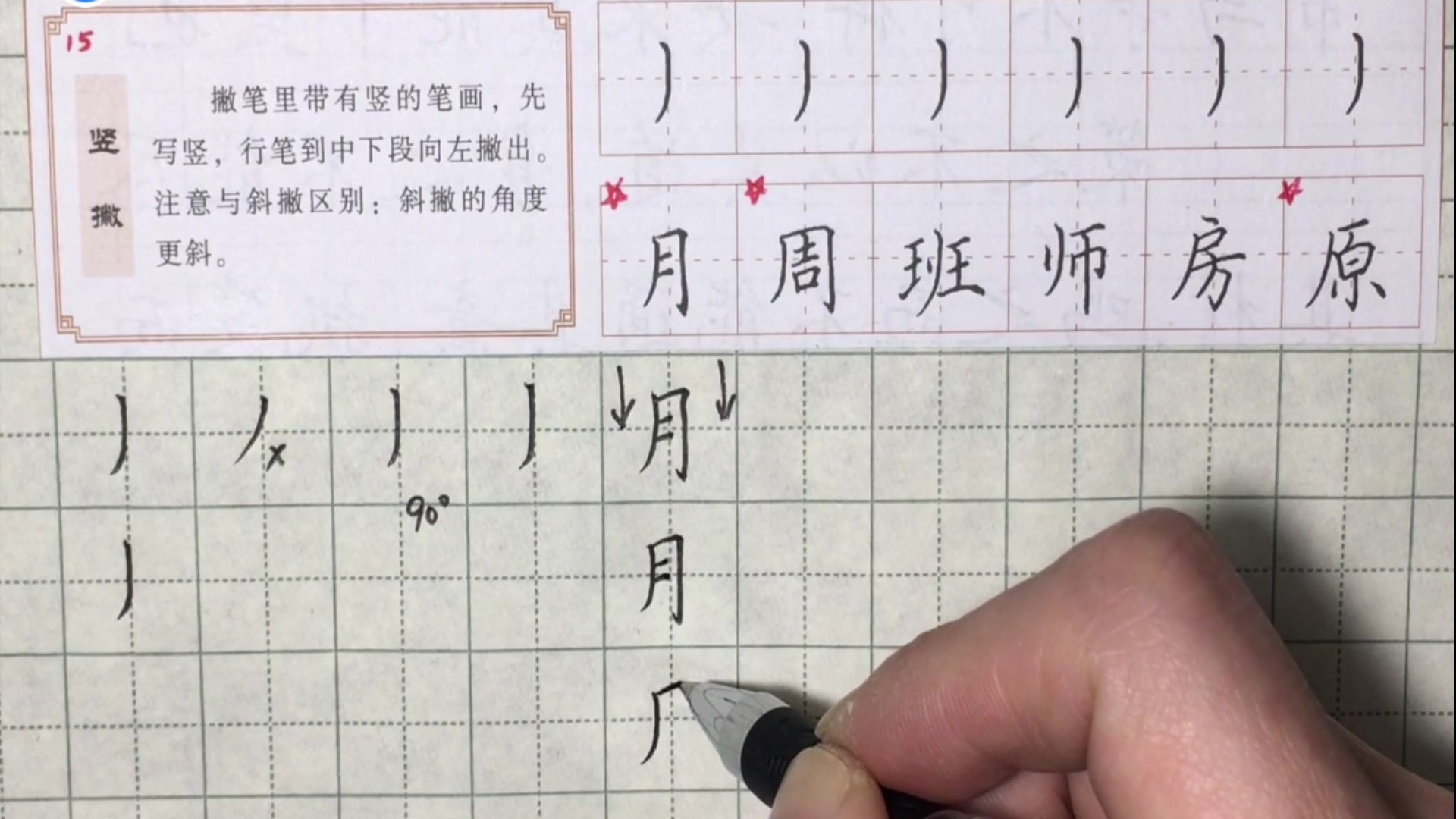 初学硬笔书法的技巧课程,入门须知,很有帮助!