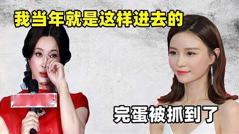 网红雪梨复出无望?被曝偷税又欺压员工,刘晓庆:别走我的老路!