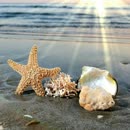 赤脚走天下的千与千寻 