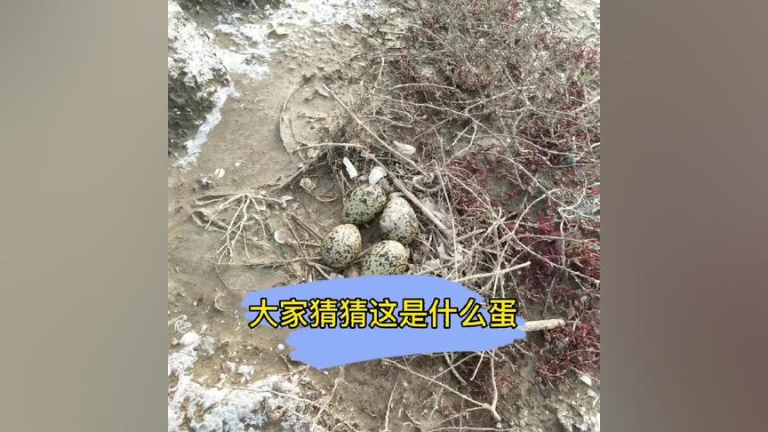 #爱护环境#保护生态环境