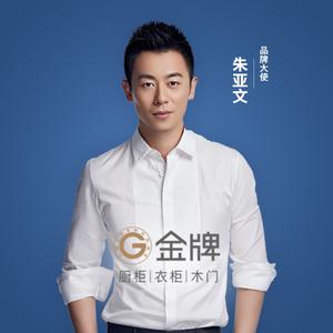 金牌厨柜官方旗舰店 