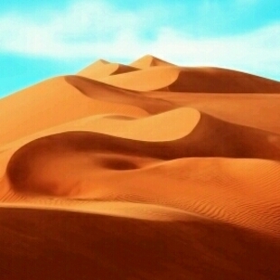 大美陕西榆林文化传媒有限公司 