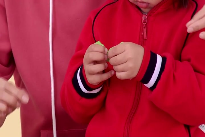 幼儿园小班美术《小鸟回家》课堂实录优质课视频公开课教学视频