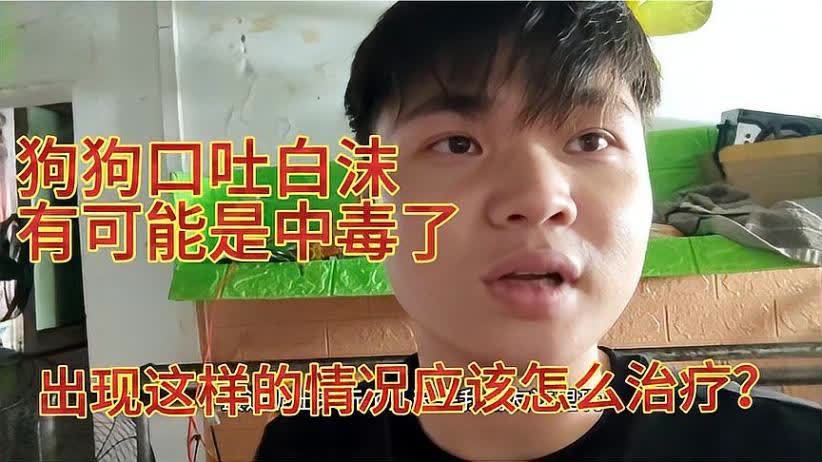 狗狗口吐白沫,可能是中毒,首先给他止吐,解毒,收藏起来吧
