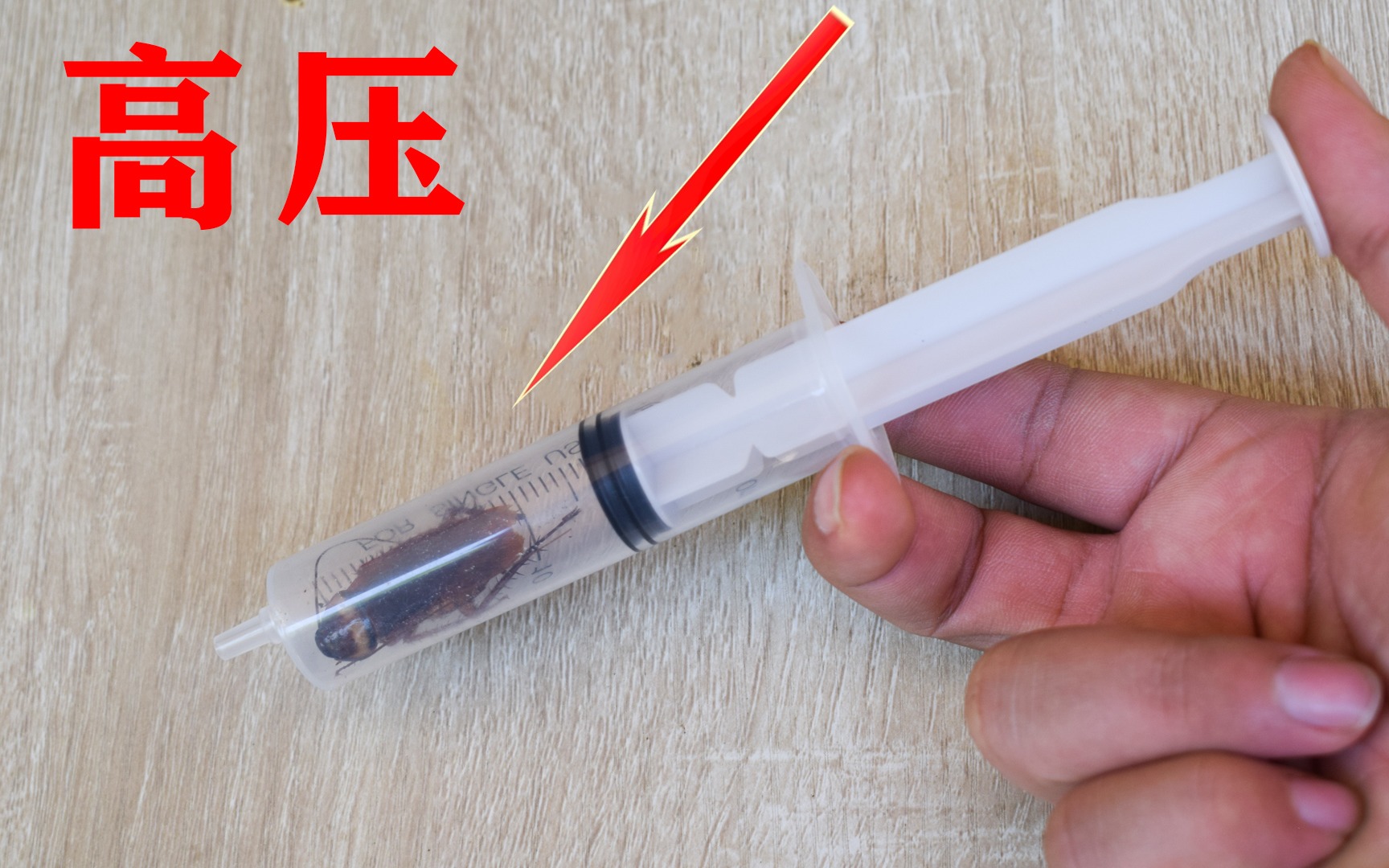 把"蟑螂"放进针管里压缩,蟑螂在高压下,会发生什么?