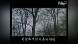 初中生物:维生素C的故事
