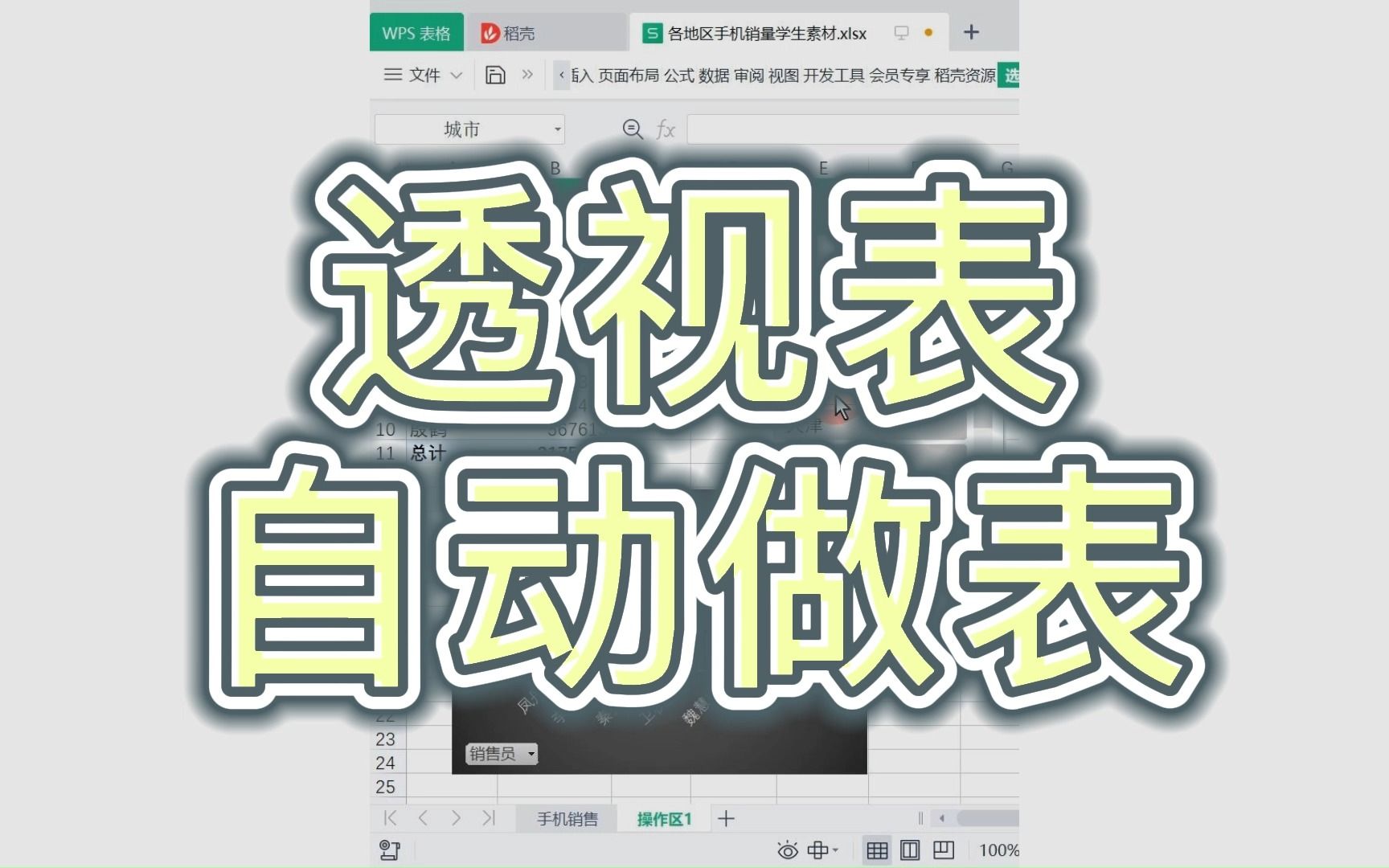Excel高效技巧 数据透视表